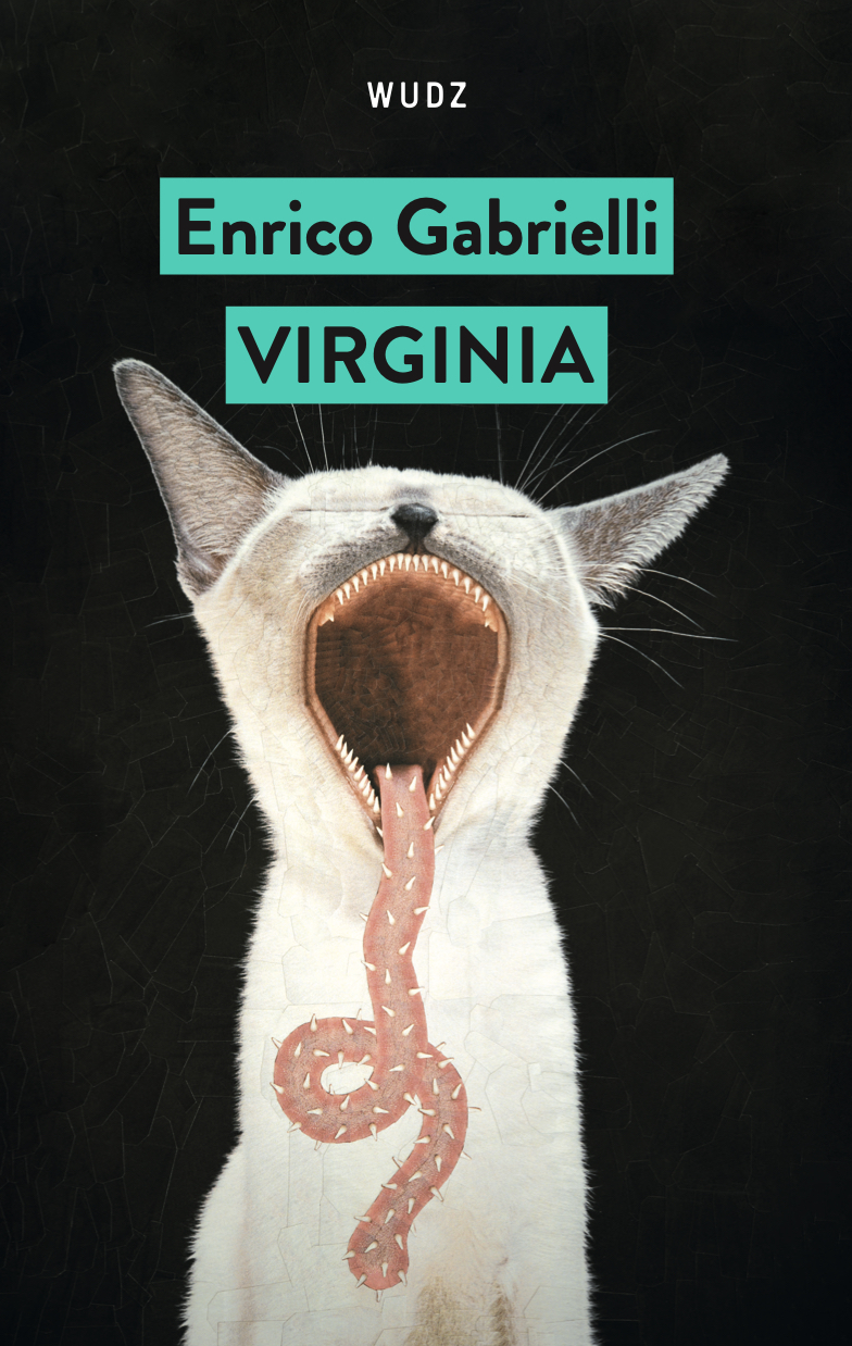 Virginia: l’esordio narrativo di Enrico Gabrielli - L'Eclisse