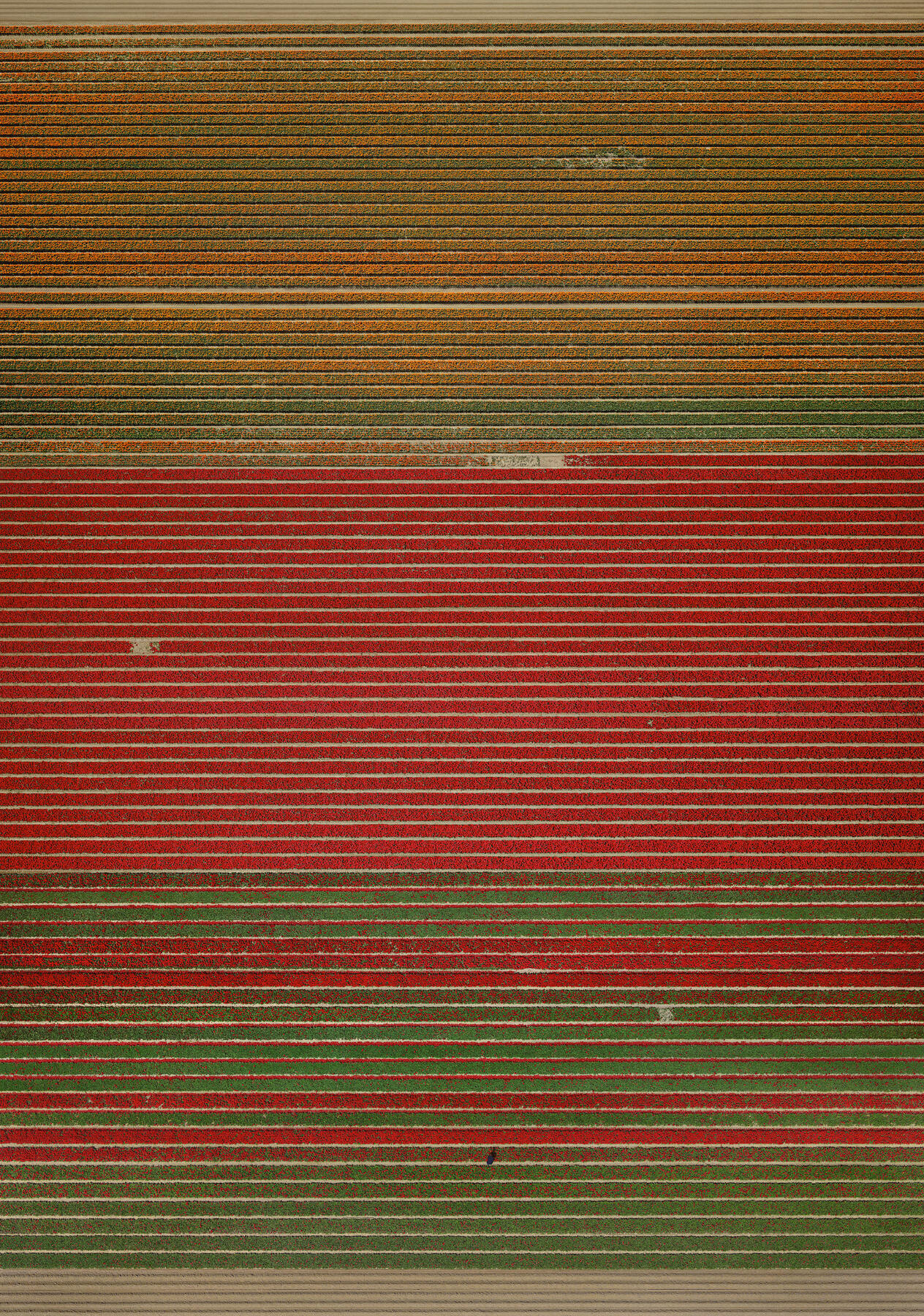 Typologien: Photography in 20th-century Germany - L'Eclisse